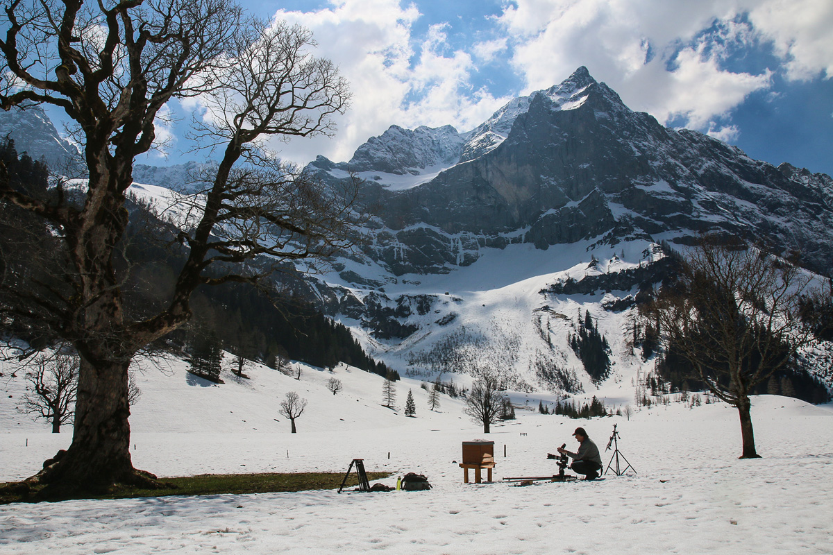 Filmtipp – TAGEBUCH EINER BIENE – Bienengarten